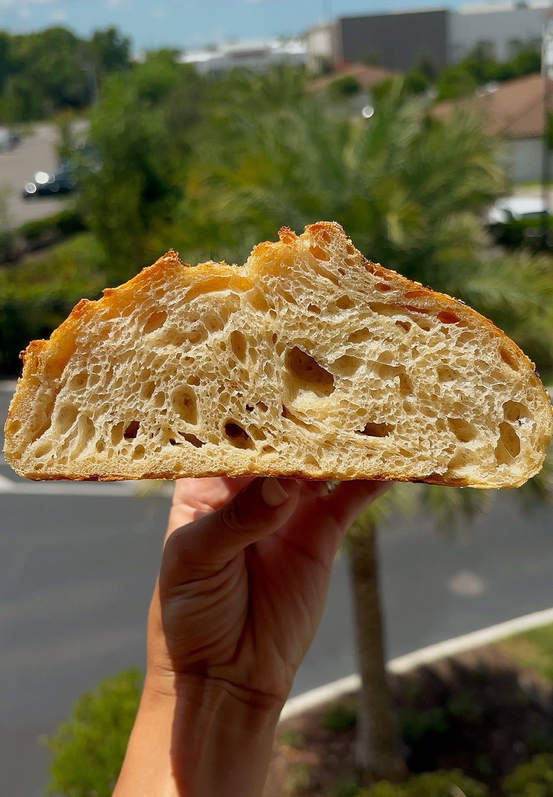 Il Fornino Bakery
