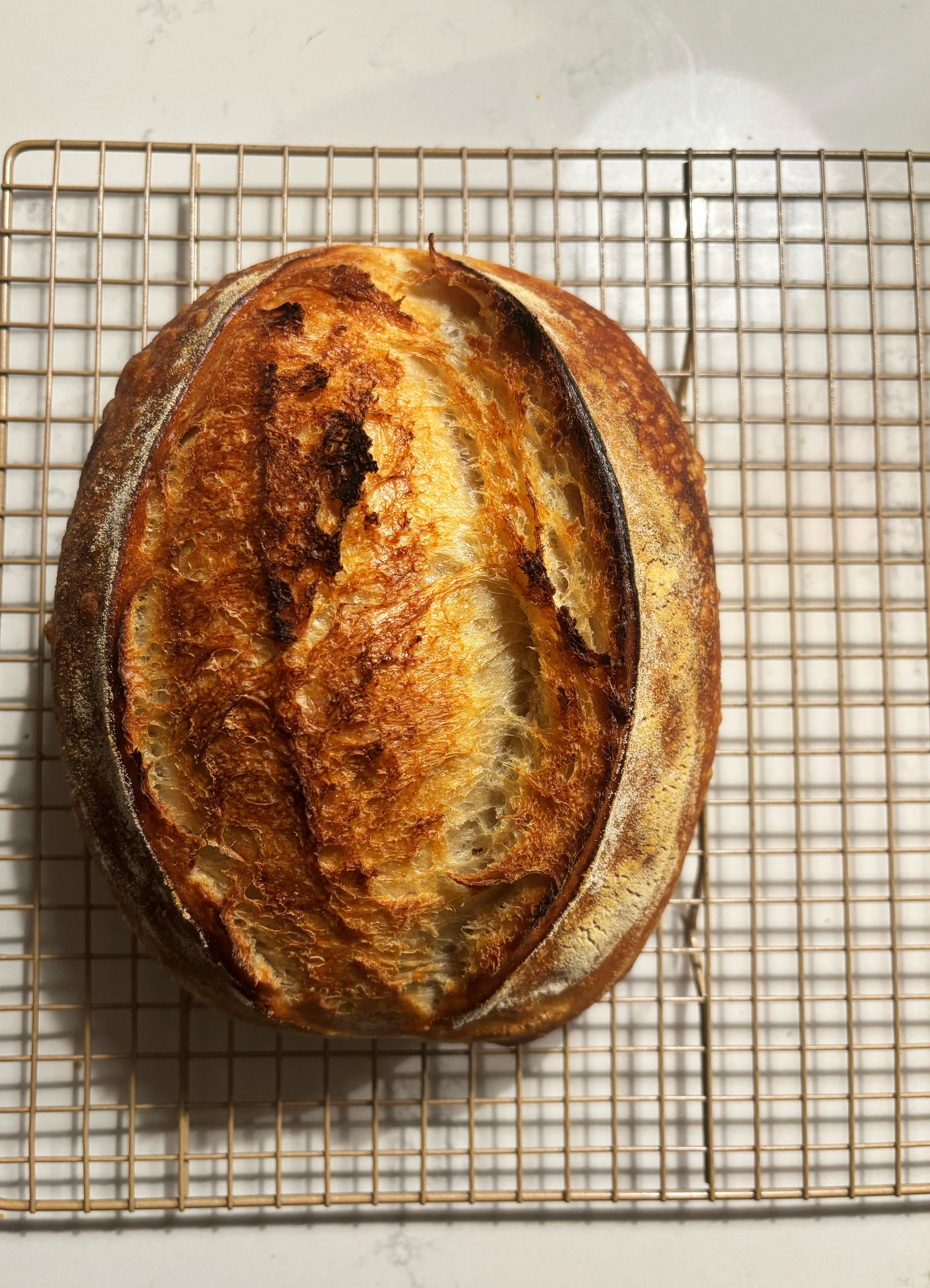 Il Fornino Bakery